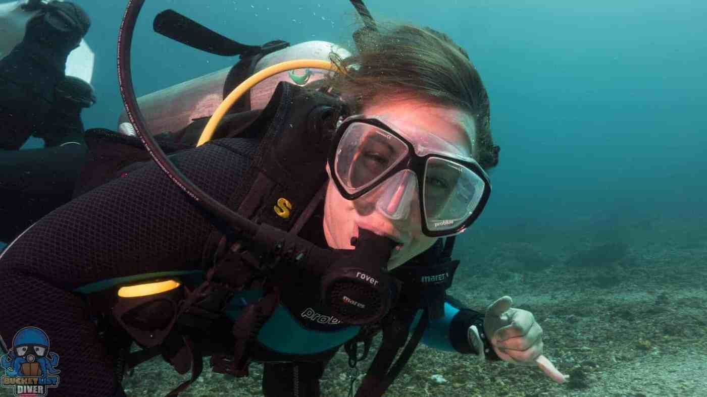 How Did Hayley Become A PADI Divemaster With Bucket List Diver ...