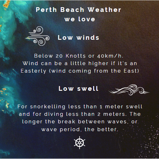 Reading Perth Weather For Snorkelling And Diving | Bucket List Diver