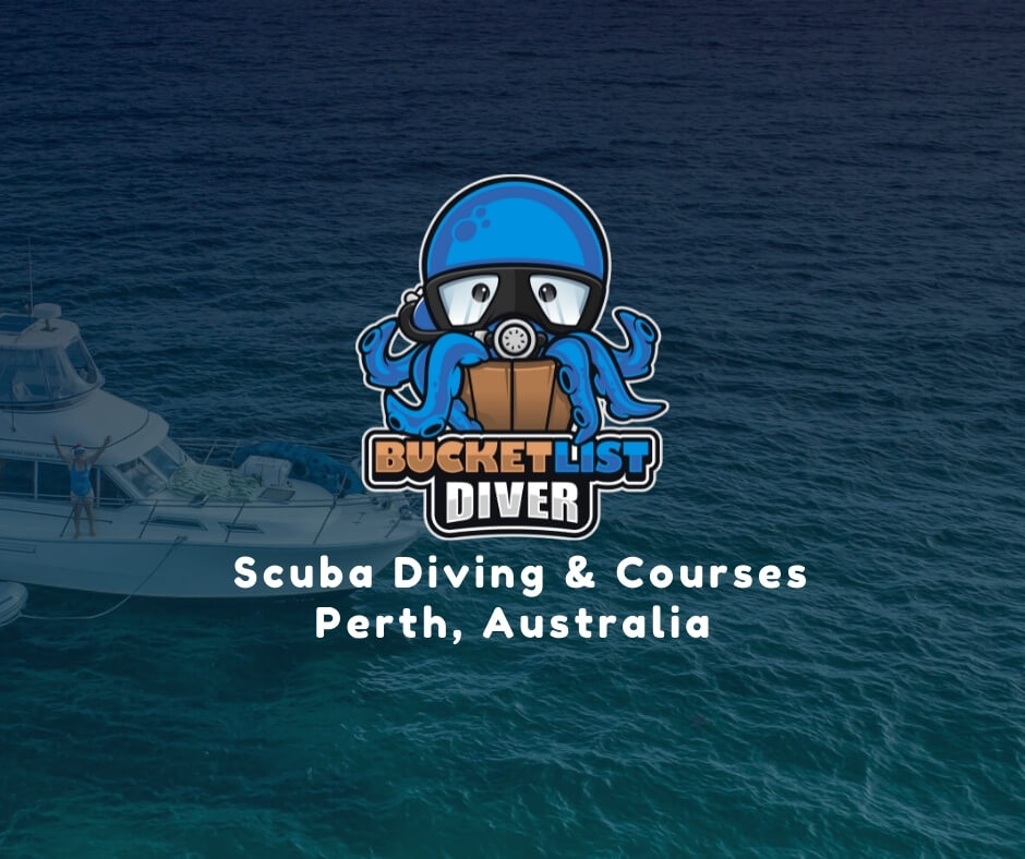 Perth Scuba Boat Charters & Rottnest Diving | Bucket List Diver